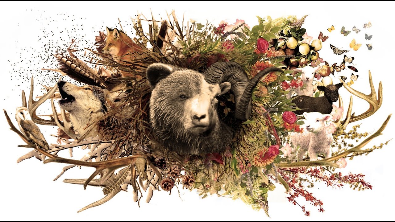 Philip Witcomb Video Screenshot - InterTalent